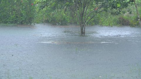 Heavy Rain Over Lake Joya De Stock Footage Video (100% Royalty-free ...