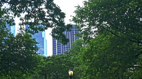 Handheld Wide Panning Shot Central Park Stock Footage Video (100% ...