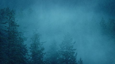 Rain Mist Over Wilderness Trees Stock Footage Video (100% Royalty-free ...