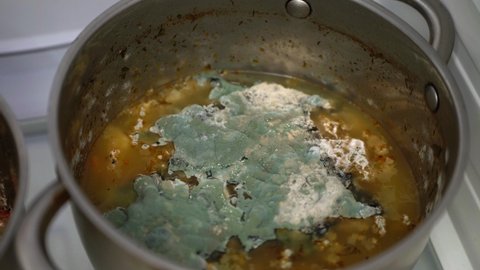 1,618 Fungus food poisoning Stock Video Footage - 4K and HD Video Clips ...