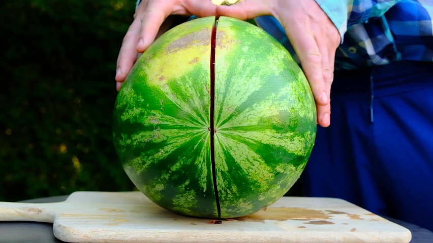 65 Watermelon Types Stock Video Footage - 4K and HD Video Clips ...
