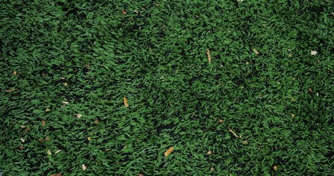 Closeup Rolling Soccer Ball On Football Stock Footage Video (100% ...