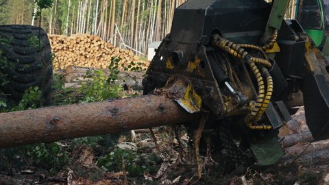 Heavy Harvester Machine Used Material Processing Stock Footage Video ...