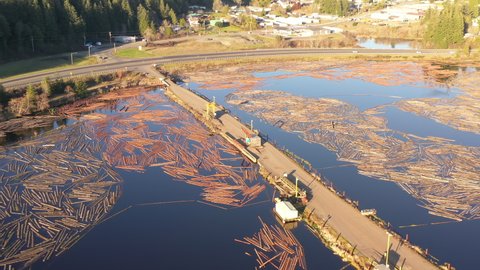 Timber Mill Coquille Oregon Deforestation Concept Stock Footage Video ...