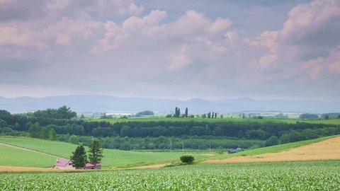Jr Furano Line Running Biei Area Stock Footage Video (100% Royalty-free ...