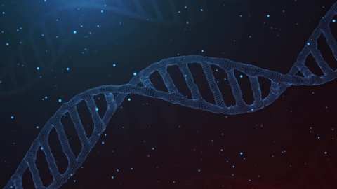 Dna Animation Futuristic Wireframe 4k Animation Stock Footage Video ...