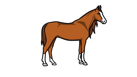 Horse Sketch 2d Animated Stock Footage Video (100% Royalty-free ...