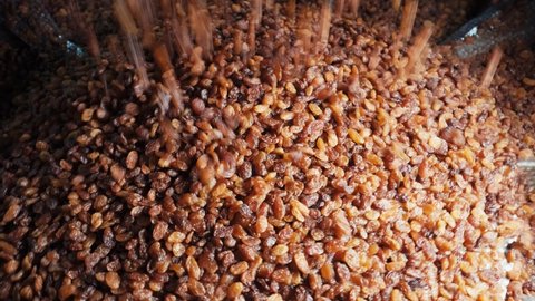 Raisins On Sorting Machine Factory Raisins Stock Footage Video (100% ...