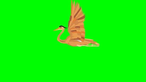 Animation Flying Heron On Green Background Stock Footage Video (100% ...