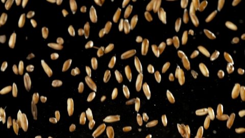 Falling Grain Oats Closeup Macro Shot Stock Footage Video (100% Royalty ...