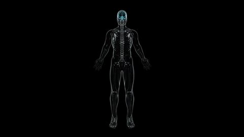 Human Anatomy Rotate 3d Animation Brain Stock Footage Video (100% ...