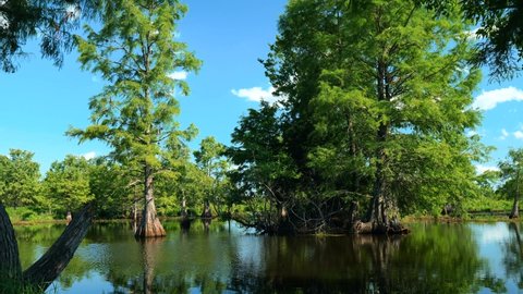 Sheldon Lake Reservoir Houston Texas Stock Footage Video (100% Royalty ...