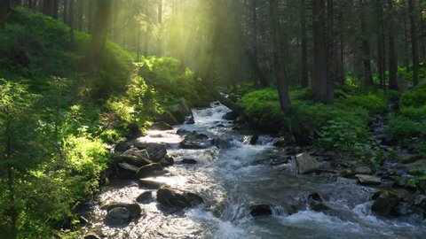 Download 1000s of Nature Video Clips - Shutterstock