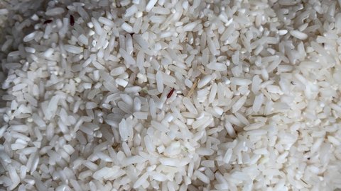 Lice On Raw White Rice Grain Stock Footage Video (100% Royalty-free ...
