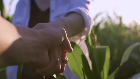 Handshake Farmers On Plantation Field Green Stock Footage Video (100% ...
