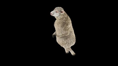 Sheep Dancing Animal 3d Rendering Animation Stock Footage Video (100% ...