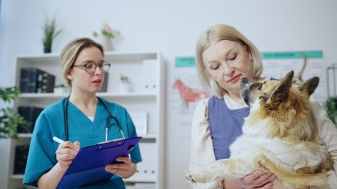 Female Animal Doctor Talking Pets Owner Stock Footage Video (100% ...