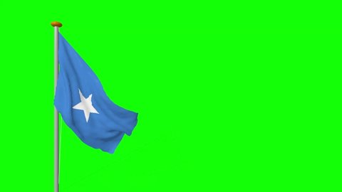 Animated Flag Somalia Somalisomalisomalia Flag Waving Stock Footage ...