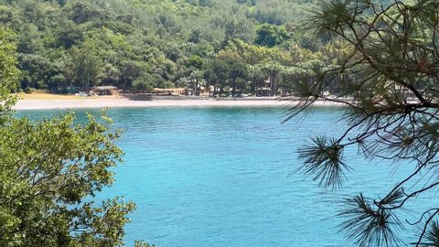 Beautiful Mediterranean Beach Pine Trees Around Stock Footage Video ...