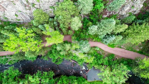 8,701 Birds Eye View Of Woods Stock Video Footage - 4K and HD Video ...