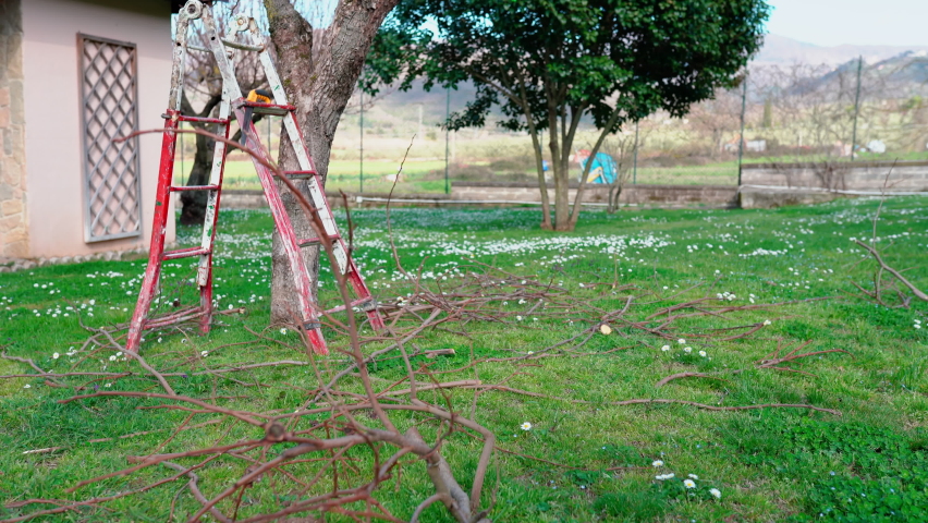 144 Cutter ladder Stock Video Footage - 4K and HD Video Clips ...