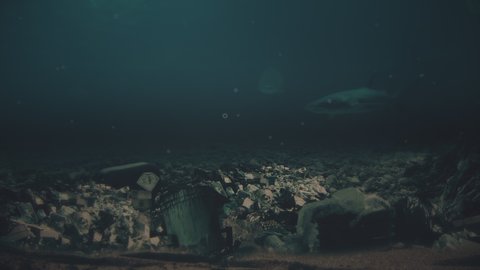 Bottom Sea Waste Ocean Pollution Toxic Stock Footage Video (100% ...