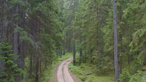 Natural Old Growth Boreal Forest Drone Stock Footage Video (100% Royalty-free) 1093124495 ...