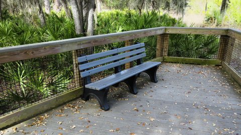 Panorama Nature Park Bench Bluegreen Stock Footage Video (100% Royalty ...