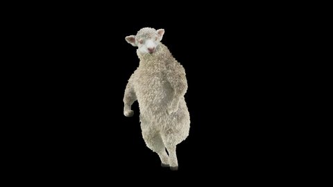 Sheep Dancing Animal 3d Rendering Animation Stock Footage Video (100% ...