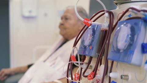 Blood Purification Procedure Hardware Hemodialysis Blood Stock Footage ...