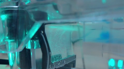 Many Small Bubbles Released Cathode Electrophoresis Stock Footage Video ...