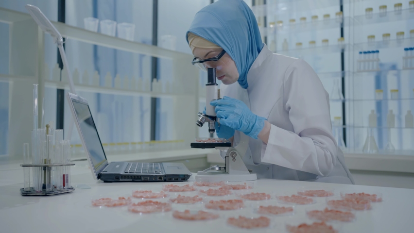 107 Halal Sign Stock Video Footage - 4K and HD Video Clips | Shutterstock