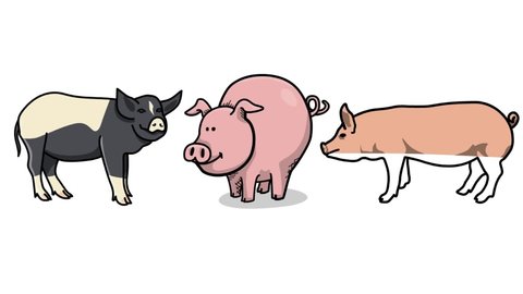 Pigs Sketch 2d Animation Stock Footage Video (100% Royalty-free ...