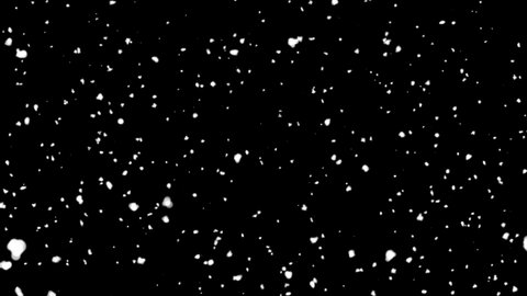 Winter Snow Falling Snow Animation Loop Stock Footage Video (100% ...