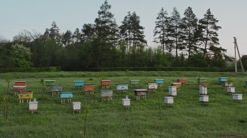Filming Left Beehive Multicolored Beehives On Stock Footage Video (100% ...
