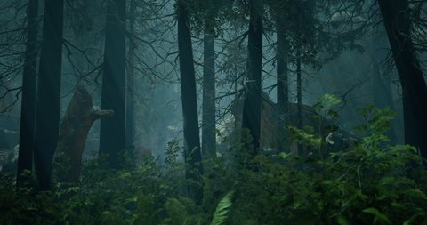 156 T Rex 3d Model Stock Video Footage - 4K and HD Video Clips ...