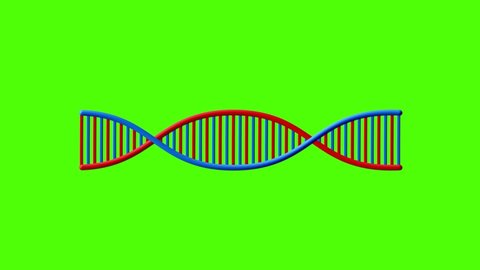 Simple 2d Dna Animation On Green Stock Footage Video (100% Royalty-free ...