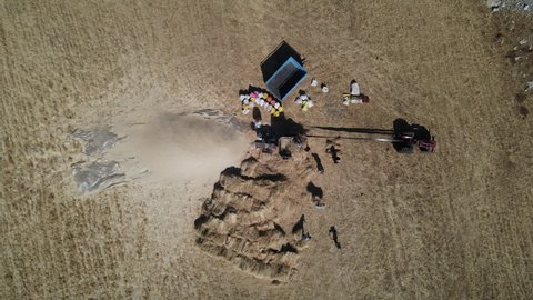 Harvest Traditional Tractor Working Farm Worker Stock Footage Video ...