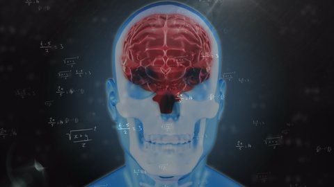 Animation Rotating Human Head Model Brain Stock Footage Video (100% ...