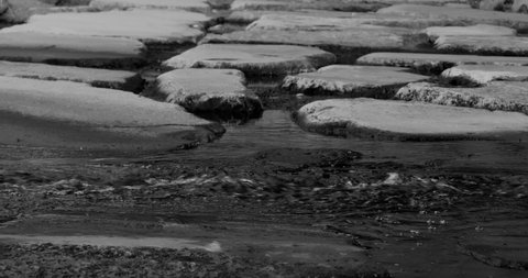 Concept Drought Slow Motion Black White Stock Footage Video (100% ...