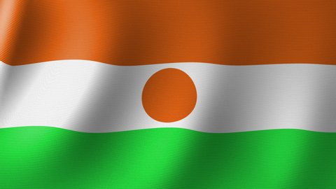 Flag Niger Flying Wind Seamless Animation Stock Footage Video (100% ...