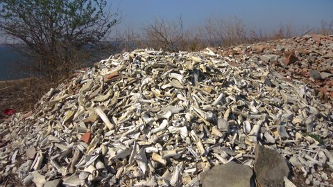 Pile Bones Clay Shards Excavations Ancient Stock Footage Video (100% ...