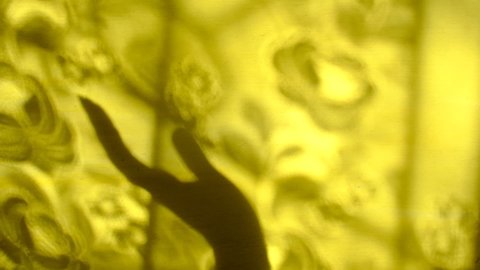 Blurred Shadow Female Hand On Yellow Stock Footage Video (100% Royalty ...
