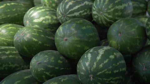 Closeup Watermelons Lying On Counter Street Stock Footage Video (100% ...