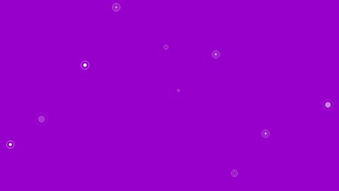 Animated Violet Abstract Background Point Backdrop Stock Footage Video ...