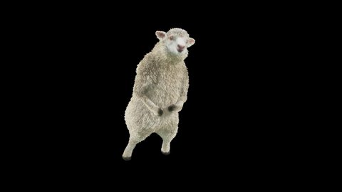 Sheep Dancing Animal 3d Rendering Animation Stock Footage Video (100% ...