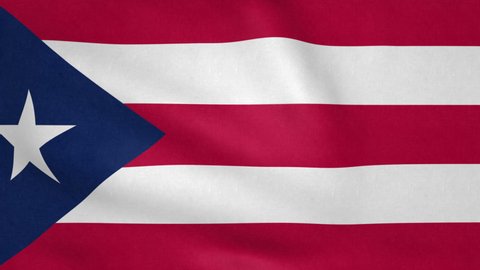 Seamless Looping Puerto Rico Flag 50fps Stock Footage Video (100% ...