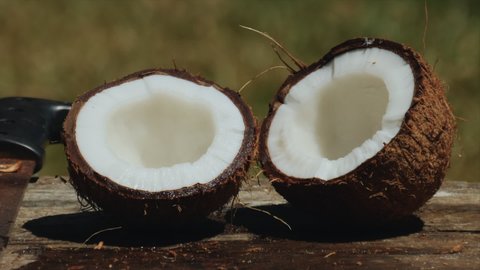 Fresh Juicy Coconut Split Half Using Stock Footage Video (100% Royalty ...