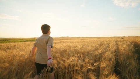 Cheerful Boy Running Alone Golden Wheat Stock Footage Video (100% ...