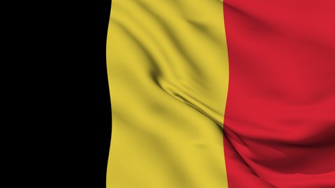 Belgium National Flag Waving Flag Belgium Stock Footage Video (100% ...